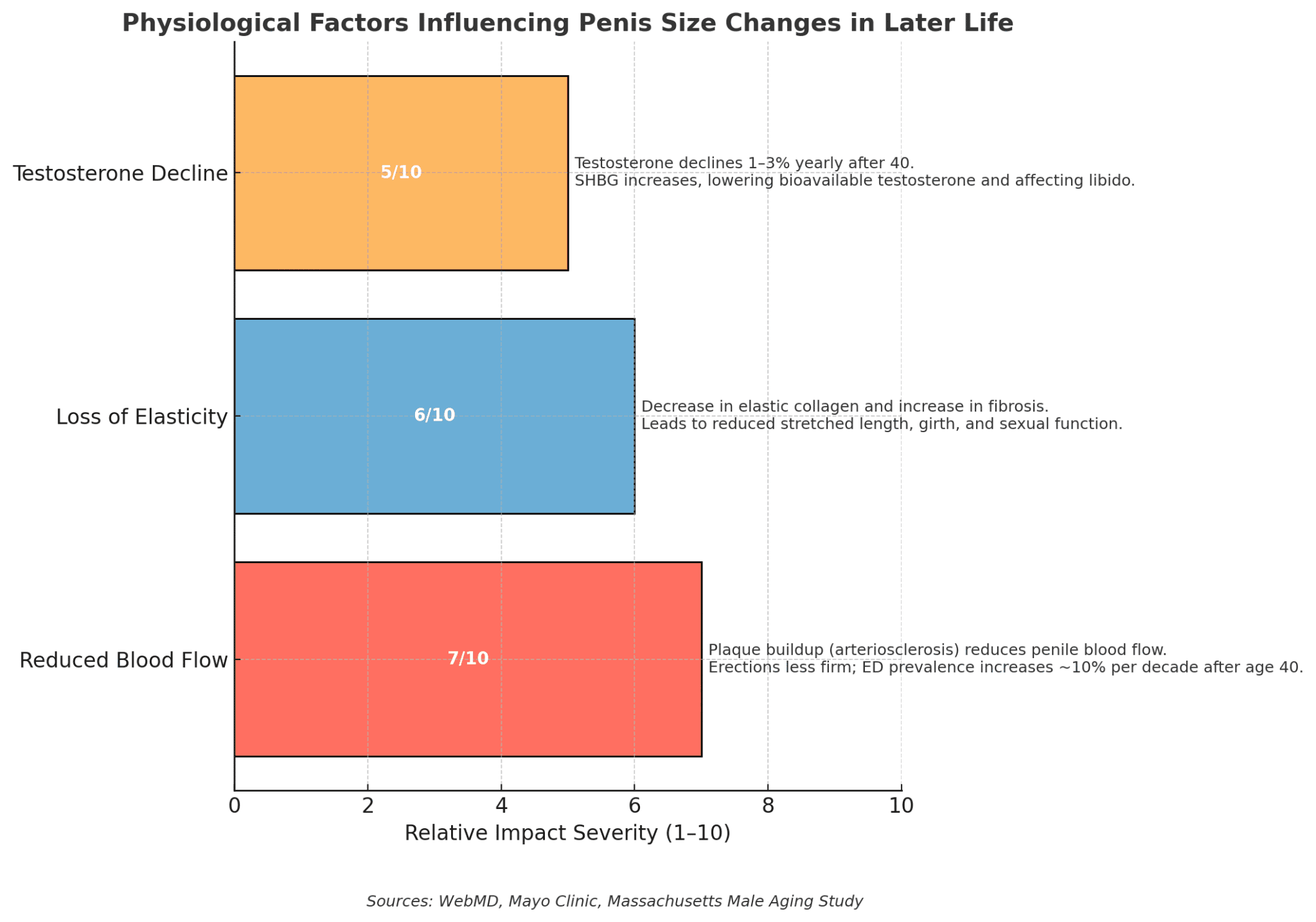 How Does Penis Size Change With Age