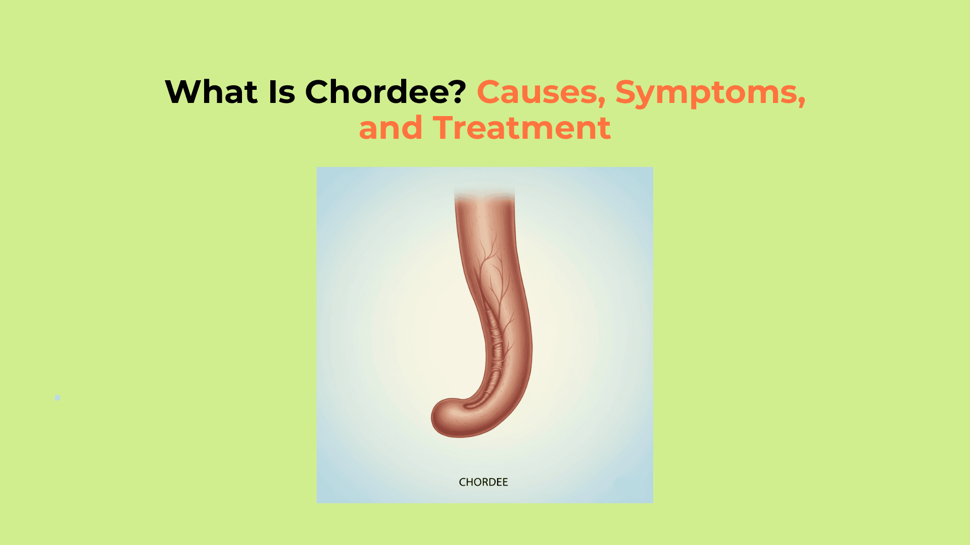 What Is Chordee? Causes, Symptoms, and Treatment for Congenital Penile ...