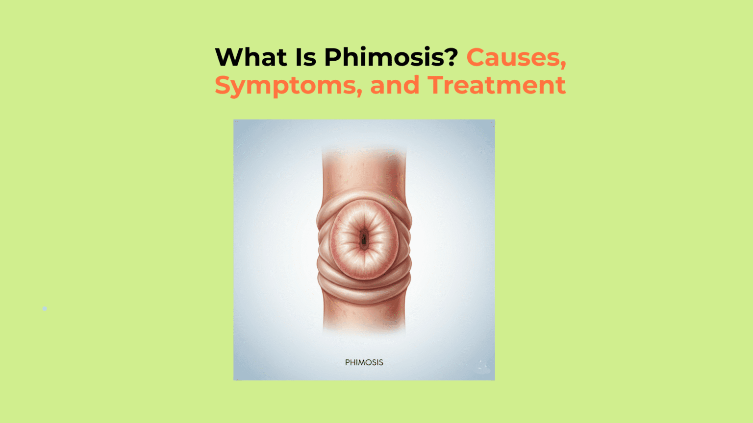 What Is Phimosis A Guide To Causes Symptoms And Treatment